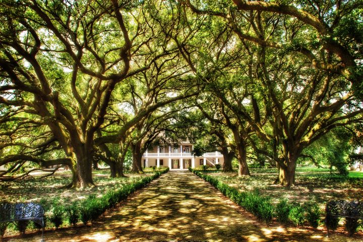 Whitney Plantation Tour | Visit New Orleans